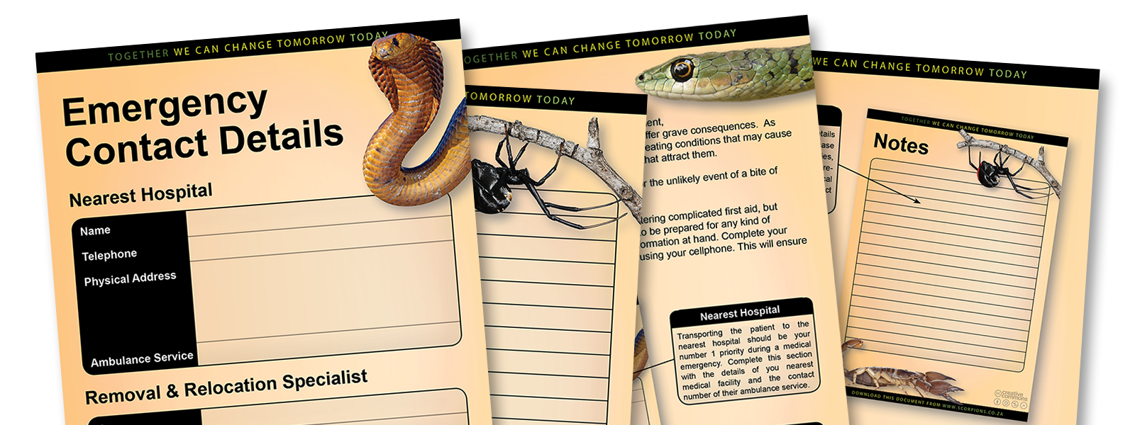 Emergency Response Plan | Spider & Scorpion Of Southern Africa