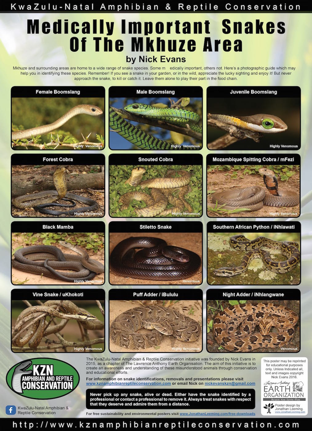 Medically Important Snakes of Mkhuze | Spider & Scorpion Of Southern Africa