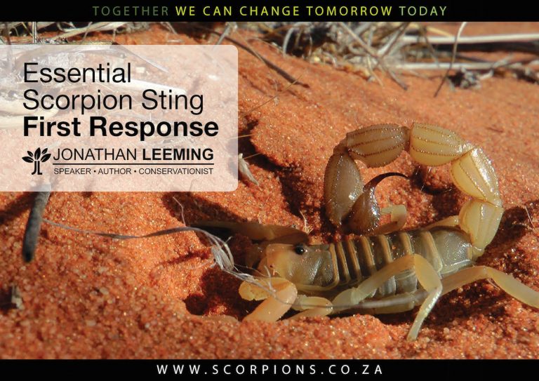 Essential First Response for Snake Bite, Spider Bite and Scorpion Sting ...