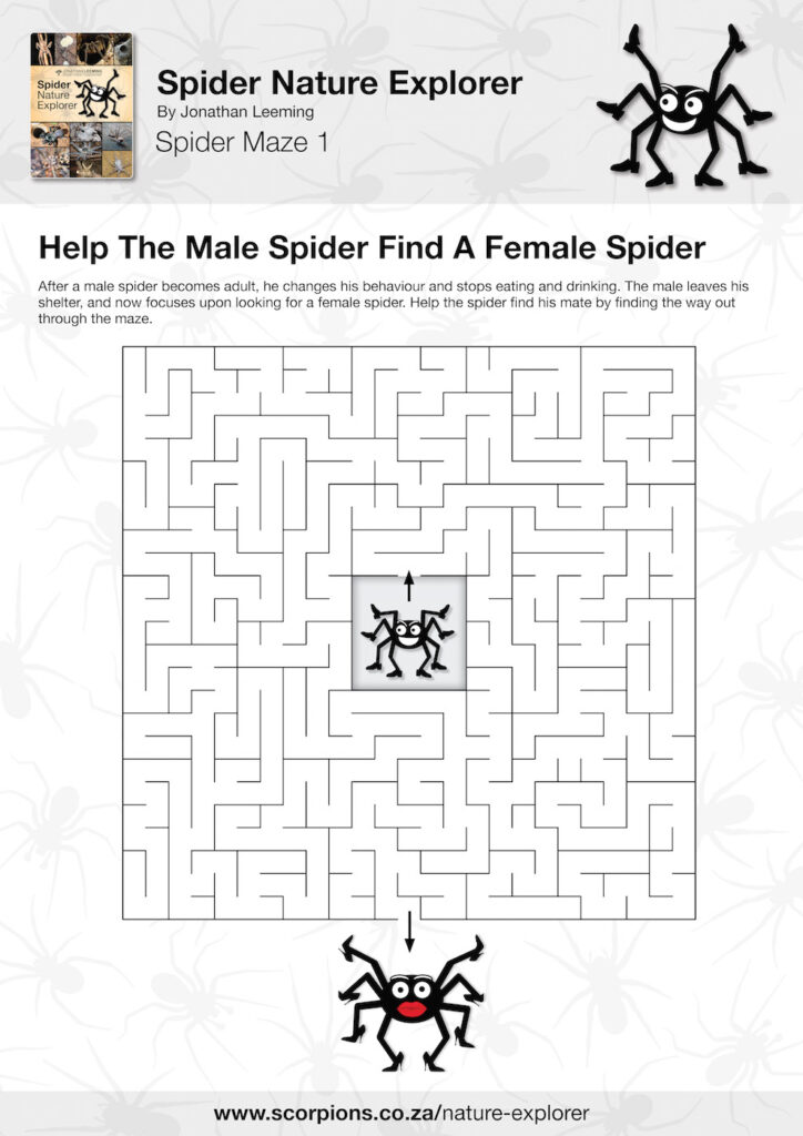 Spider Nature Explorer by Jonathan Leeming
