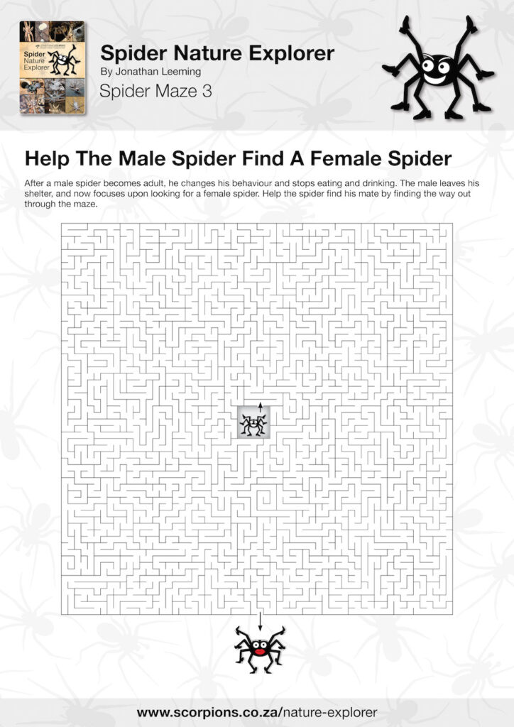 Spider Nature Explorer by Jonathan Leeming