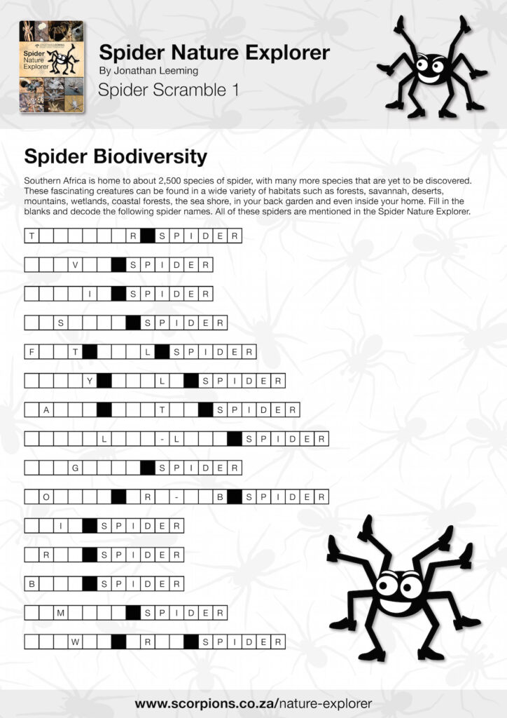 Spider Nature Explorer by Jonathan Leeming