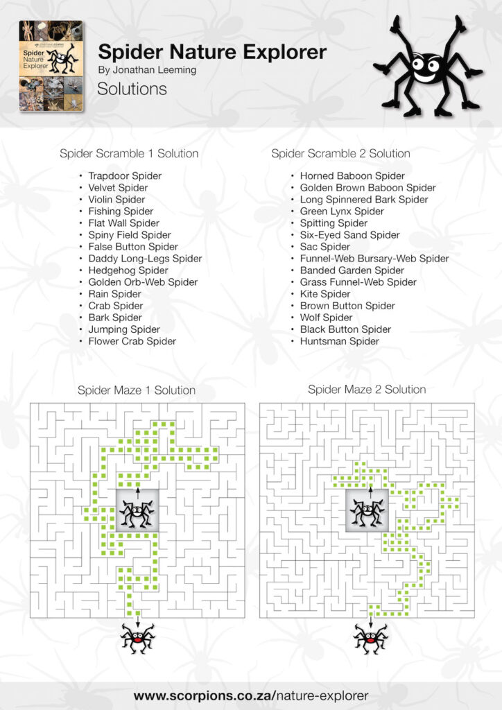 Spider Nature Explorer by Jonathan Leeming