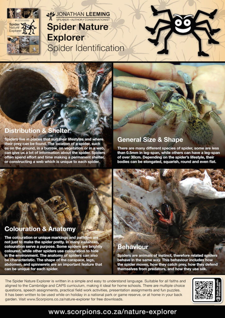 Spider Nature Explorer by Jonathan Leeming