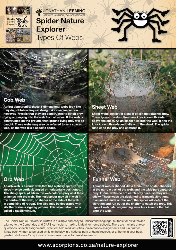 Spider Nature Explorer by Jonathan Leeming