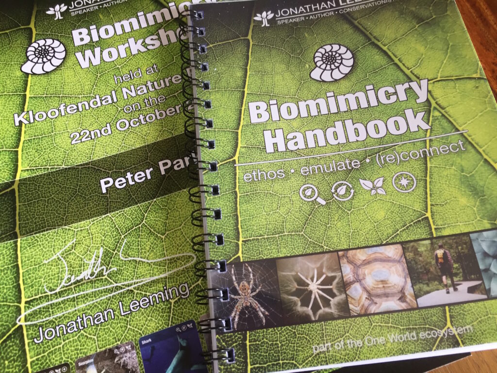 Biomimicry Walk with Jonathan Leeming