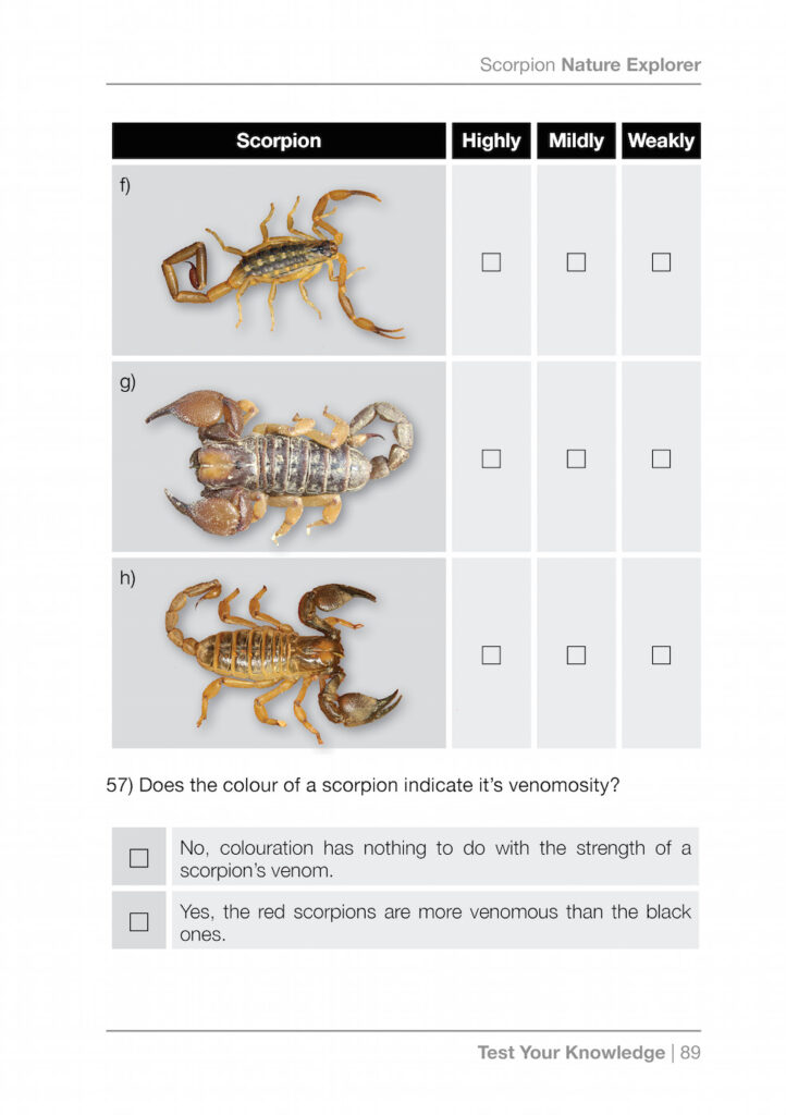 Scorpion Nature Explorer by Jonathan Leeming