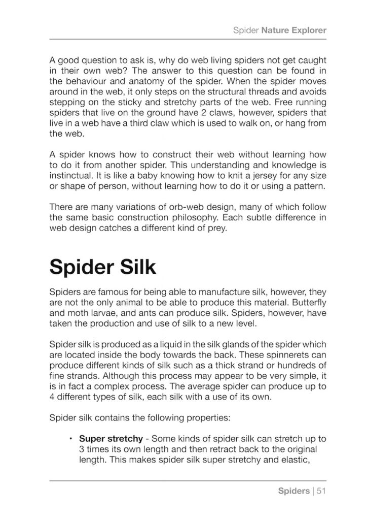 Spider Nature Explorer by Jonathan Leeming