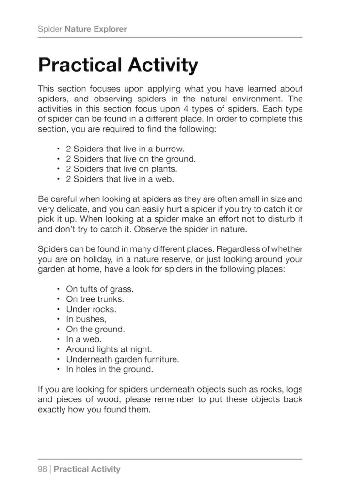 Spider Nature Explorer by Jonathan Leeming