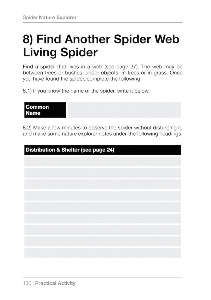 Spider Nature Explorer by Jonathan Leeming