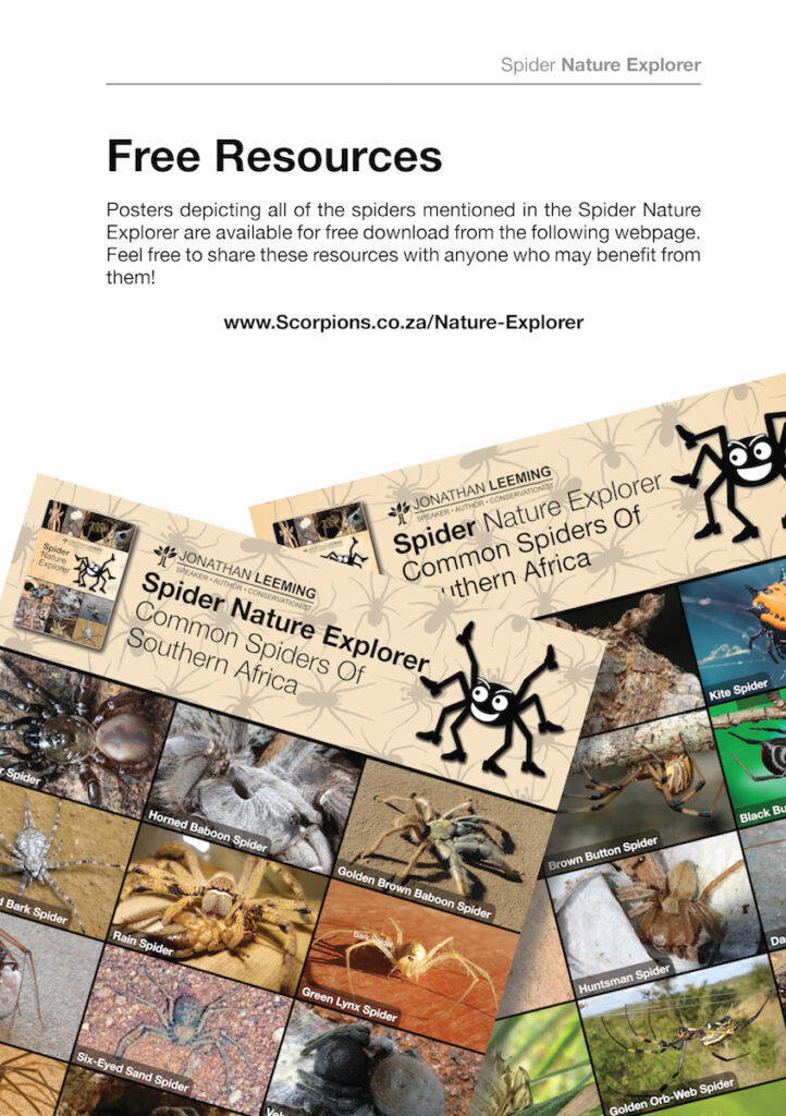 Spider Nature Explorer by Jonathan Leeming