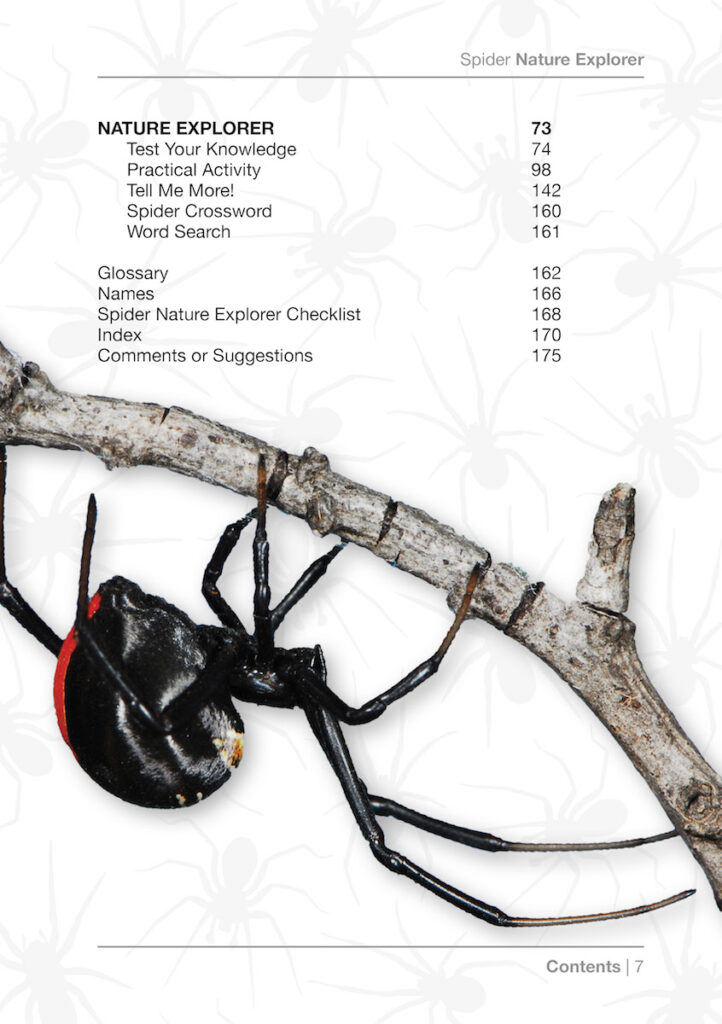 Spider Nature Explorer by Jonathan Leeming