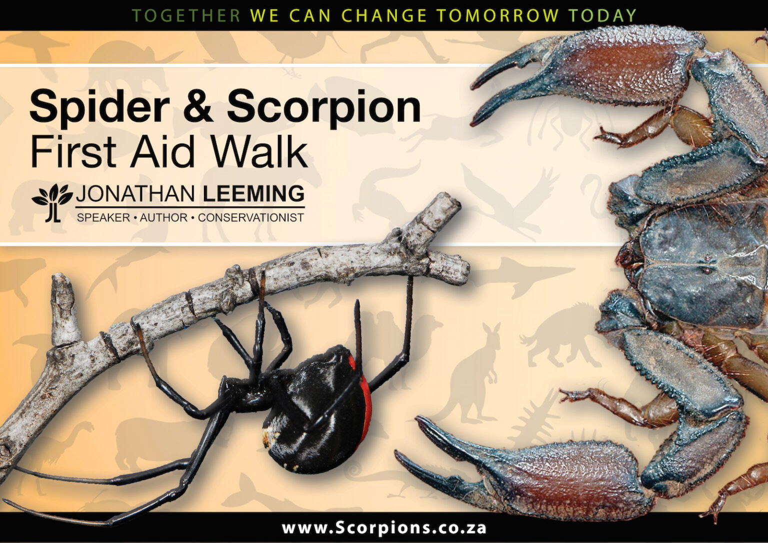 Spider Bite First Response | Spider & Scorpion Of Southern Africa