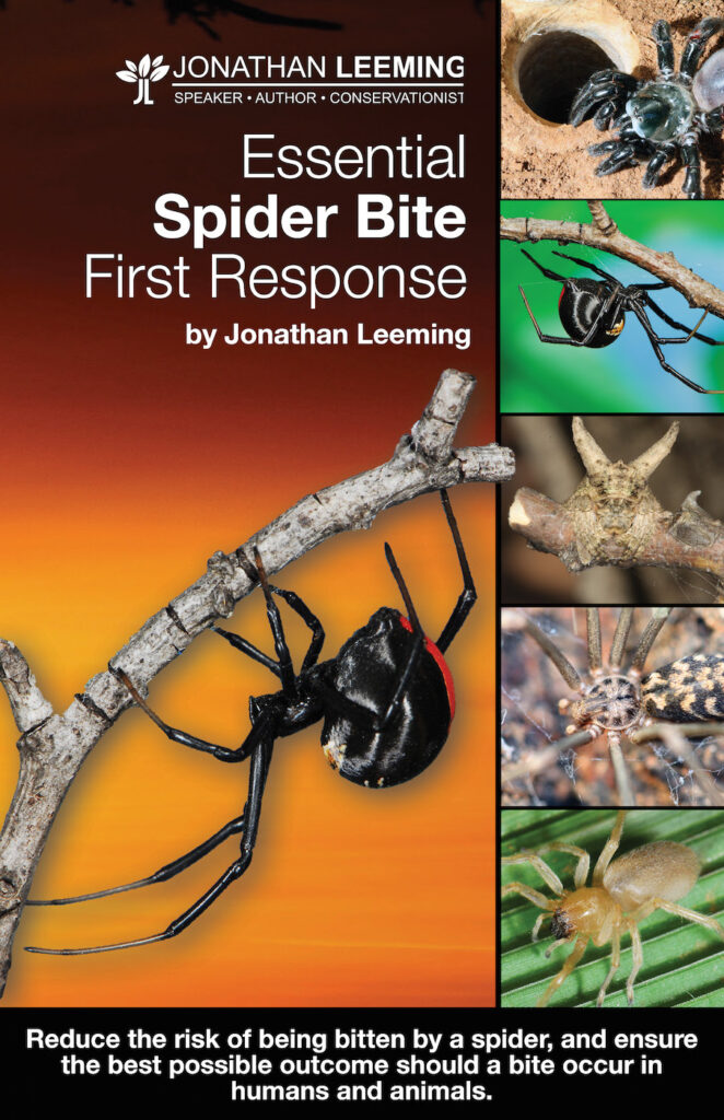 9) Essential Spider Bite First Response | Spider & Scorpion Of Southern ...