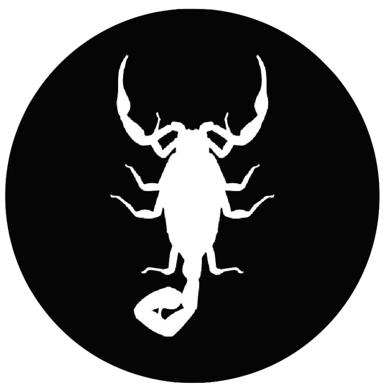 Jones's Lessor Creeping Scorpion | Spider & Scorpion Of Southern Africa