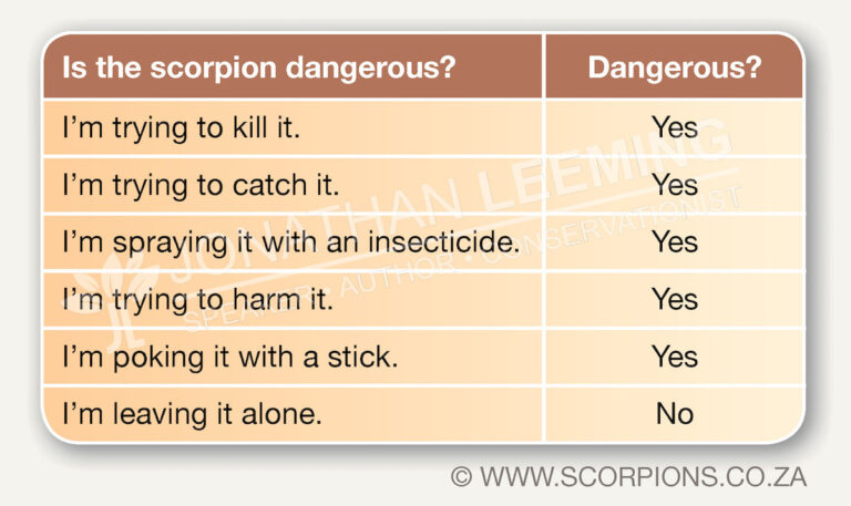 Dangerous Scorpions - Scorpion sting First Response by Jonathan Leeming