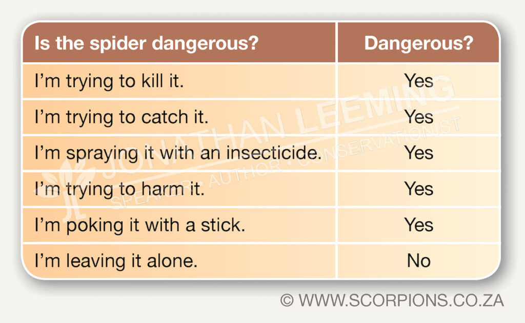 3) Venom & Medically Important Spiders | Spider & Scorpion Of Southern ...
