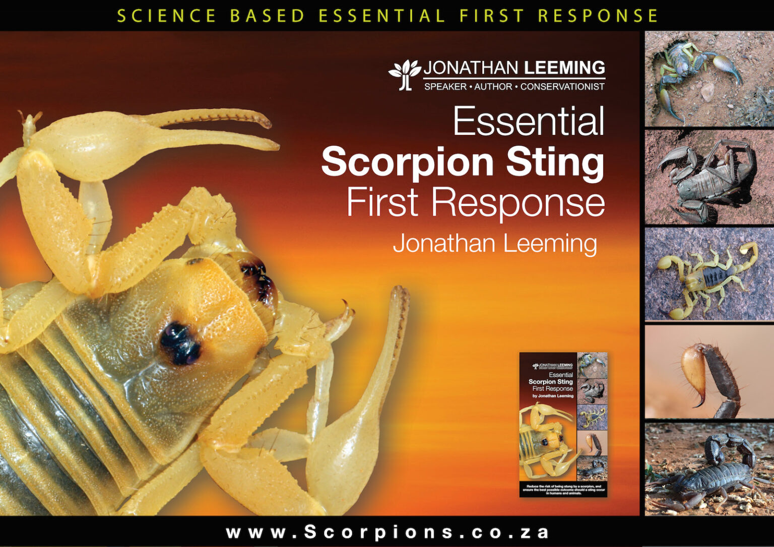 Essential Scorpion Sting First Response, developed and presented by ...