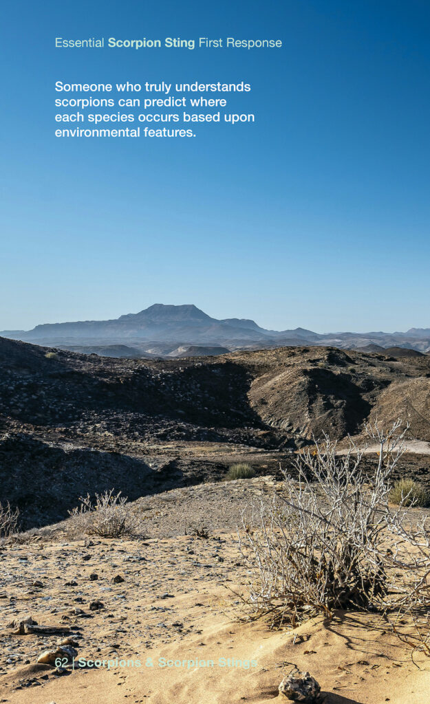 Essential Scorpion Sting First Response Book by Jonathan Leeming