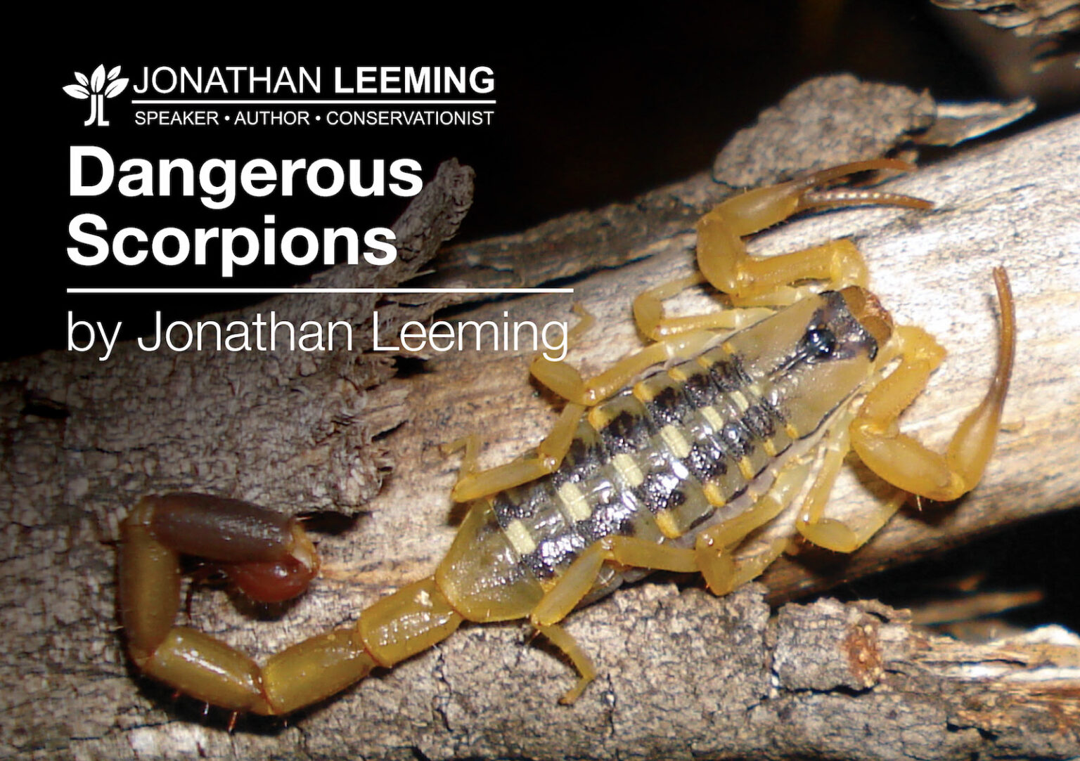 Scorpion Info by Jonathan Leeming