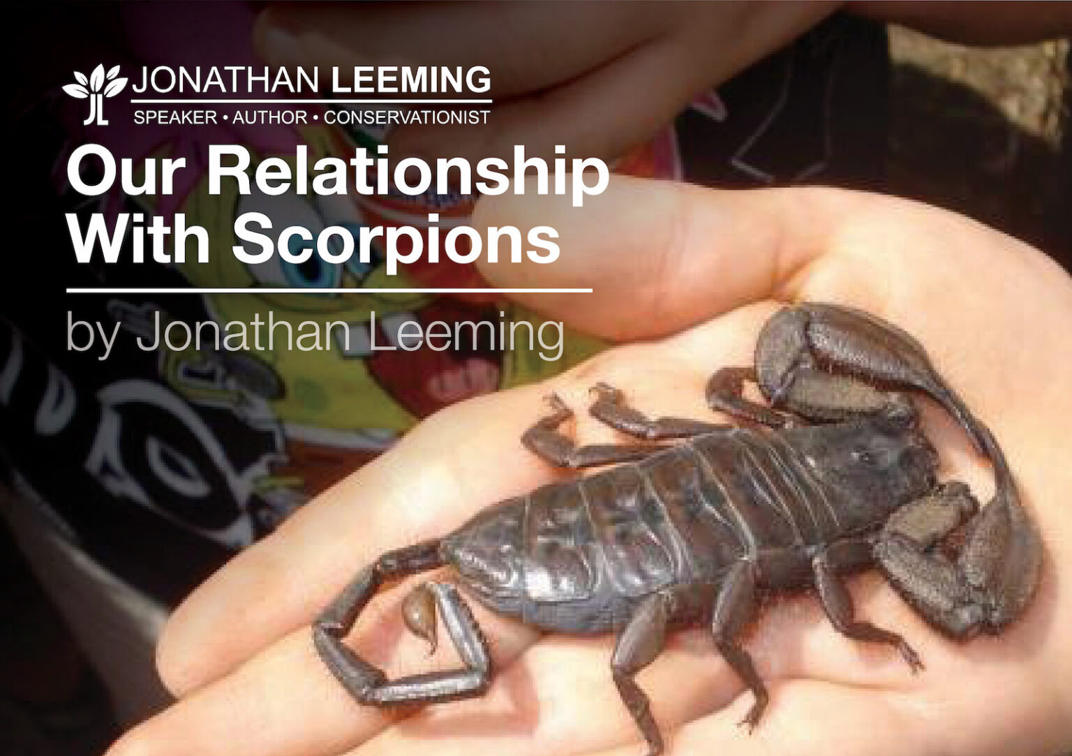Scorpion Info by Jonathan Leeming