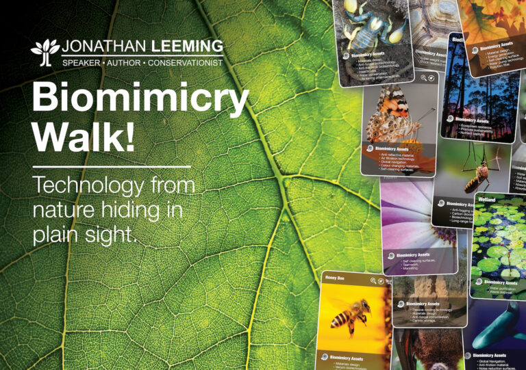 Biomimicry Walk with Jonathan Leeming