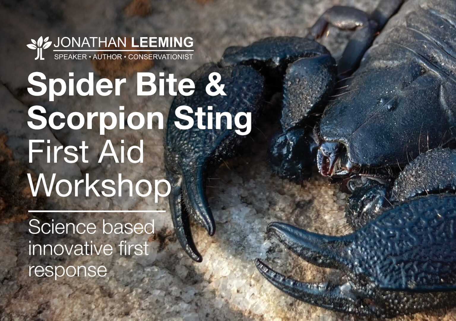 Spider & Scorpion First Response Workshop facilitated by Jonathan Leeming