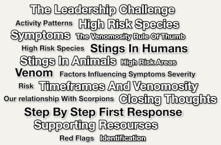 Scorpion Sting First Response Course, Hoedspruit Reptile Centre ...